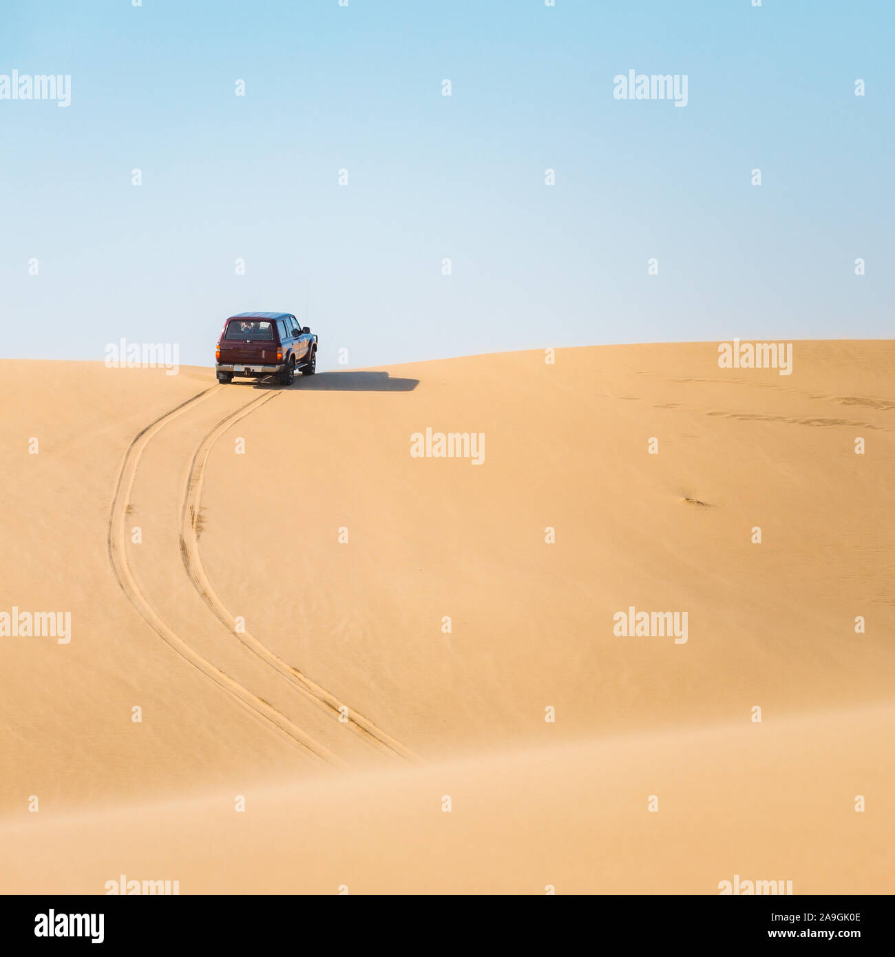 Off road desert adventure, car and tracks on sand Stock Photo - Alamy