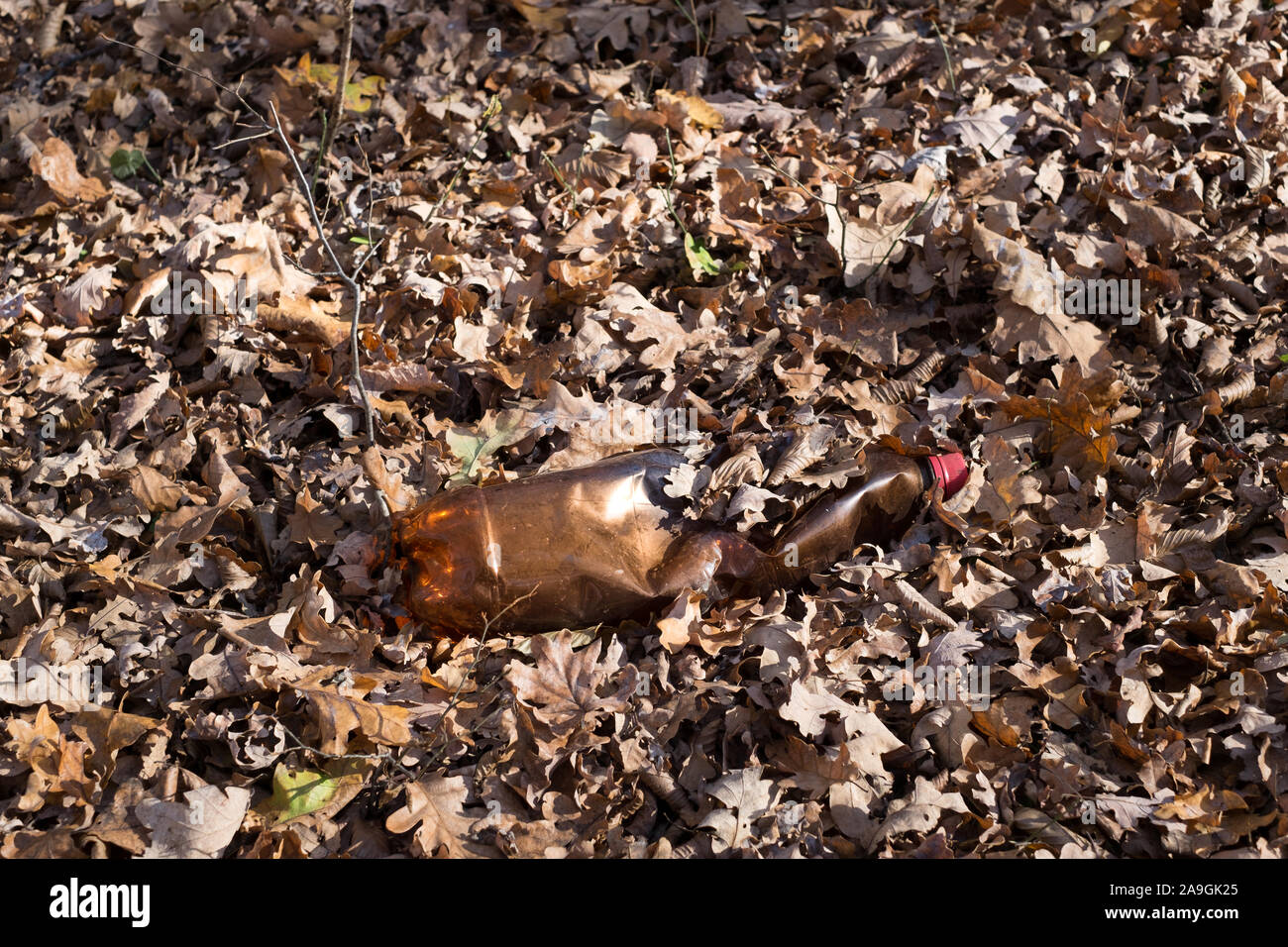 A dirty plastic bottle left in the autumn forest. Plastic waste in the ...