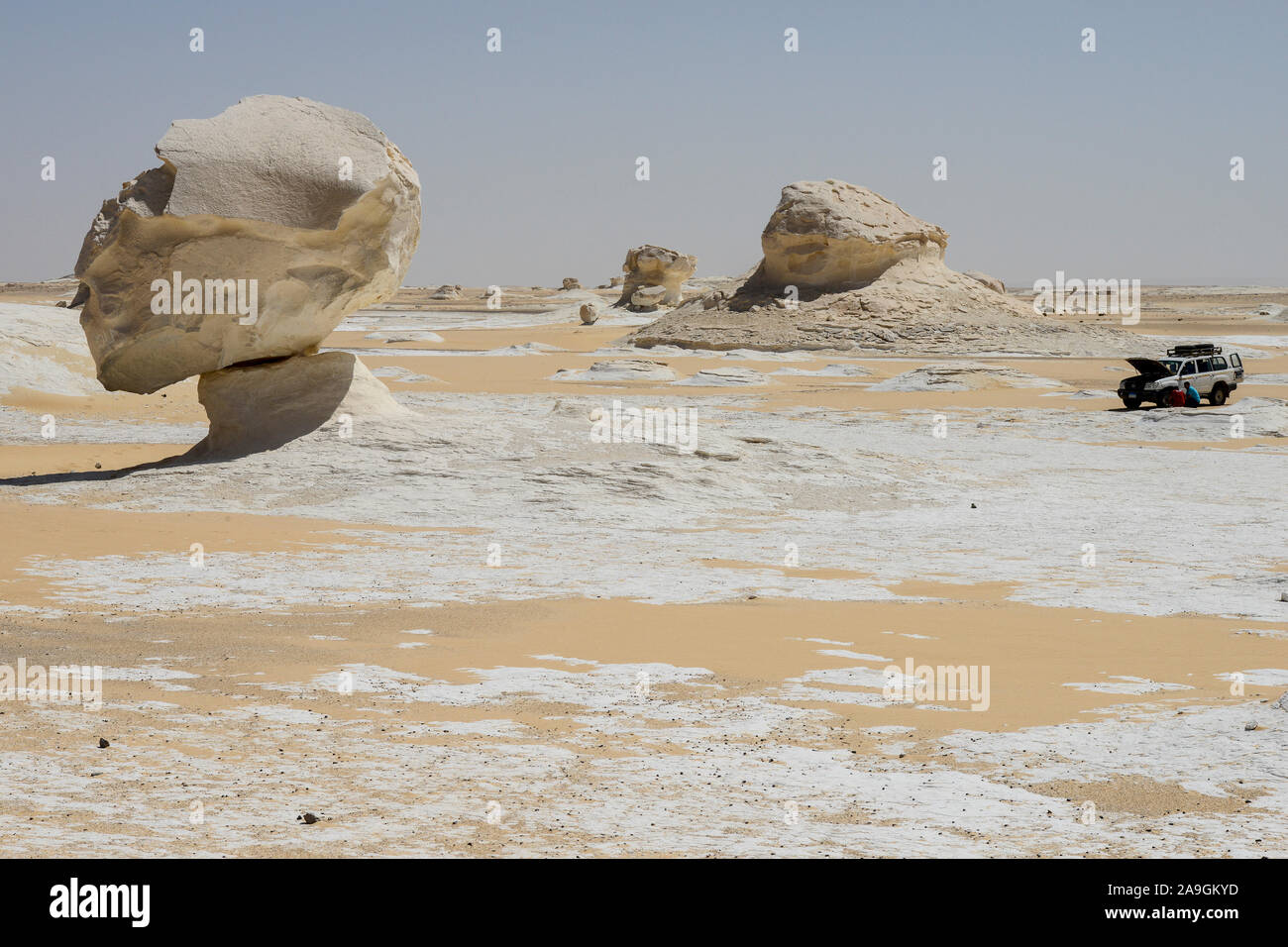 EGYPT, Farafra, Nationalpark White Desert , mushroom like chalk rocks ...