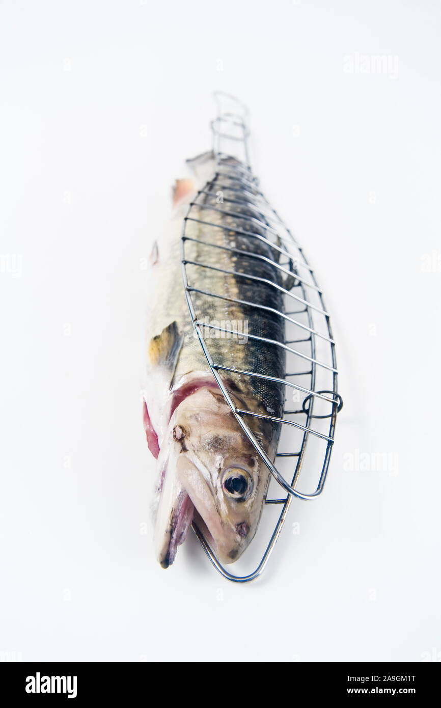 Fisch freigestellt hi-res stock photography and images - Alamy