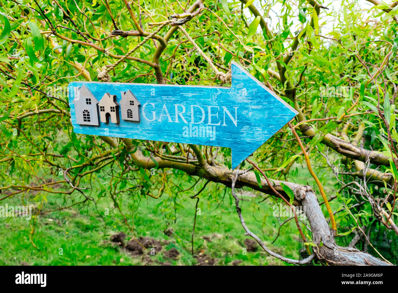 Green spring tree whith blue direction sign to garden. Bright branches ...