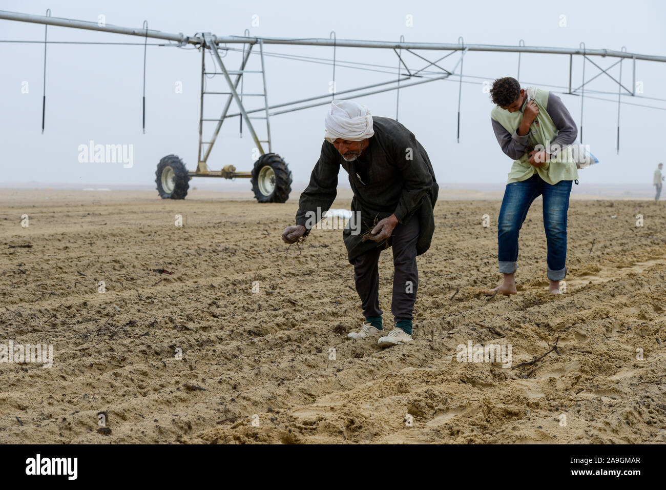 Central pivot irrigation in egypt hi-res stock photography and images ...
