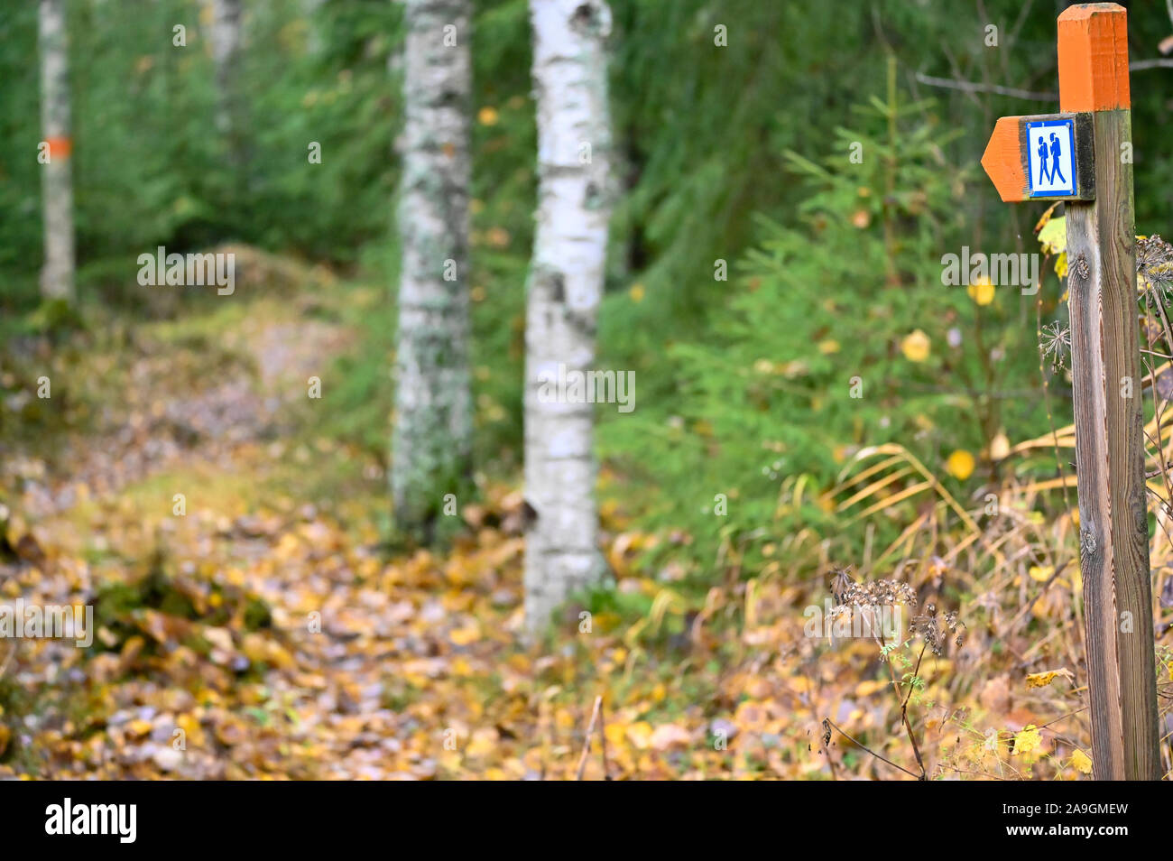 Marked Pathway High Resolution Stock Photography and Images - Alamy
