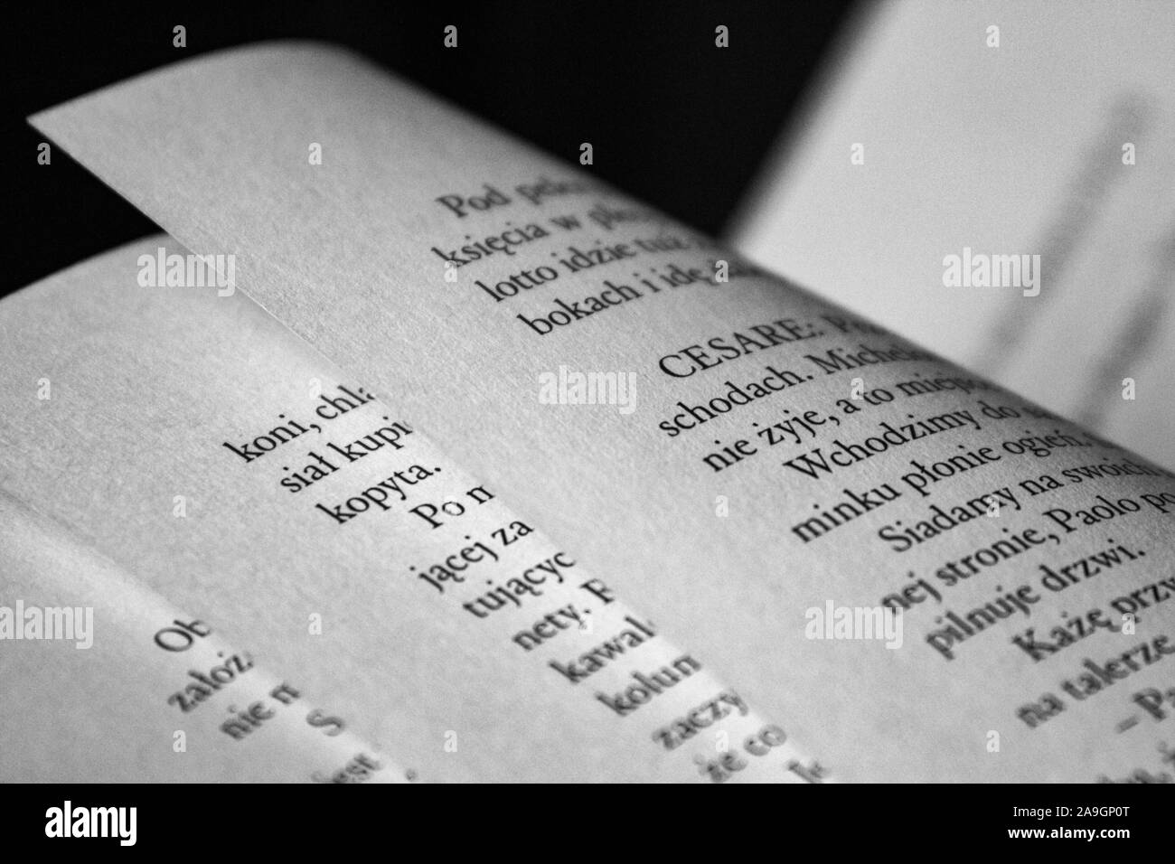 Books on book shelf Black and White Stock Photos & Images - Alamy