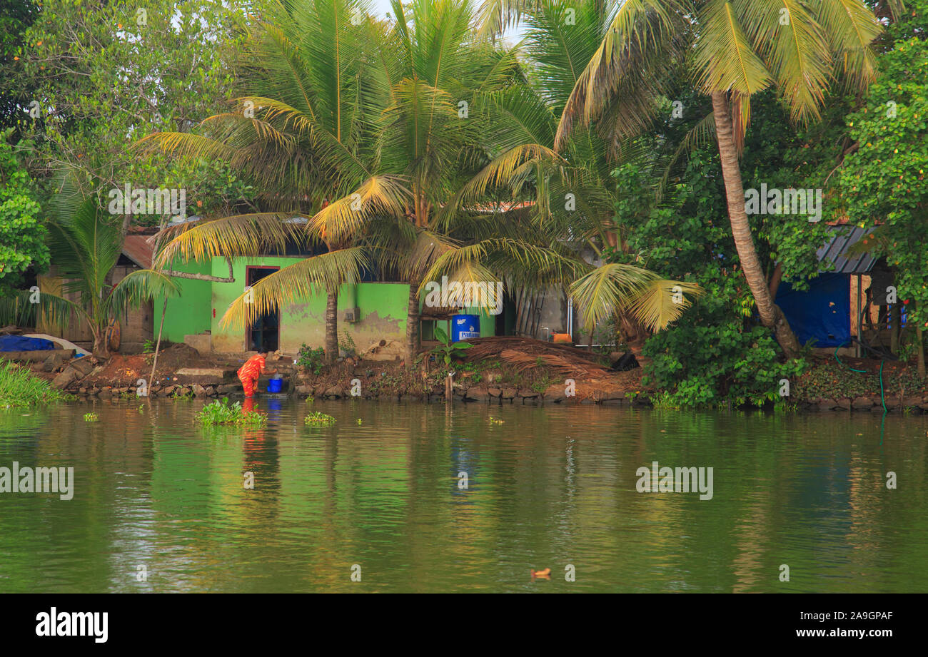 A lady washing clothes at a pond in a village in Alleppey, Kerala Stock ...
