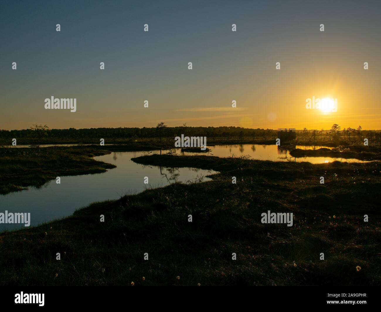 beautiful landscape with swamp lake at sunset, beautiful reflections of ...