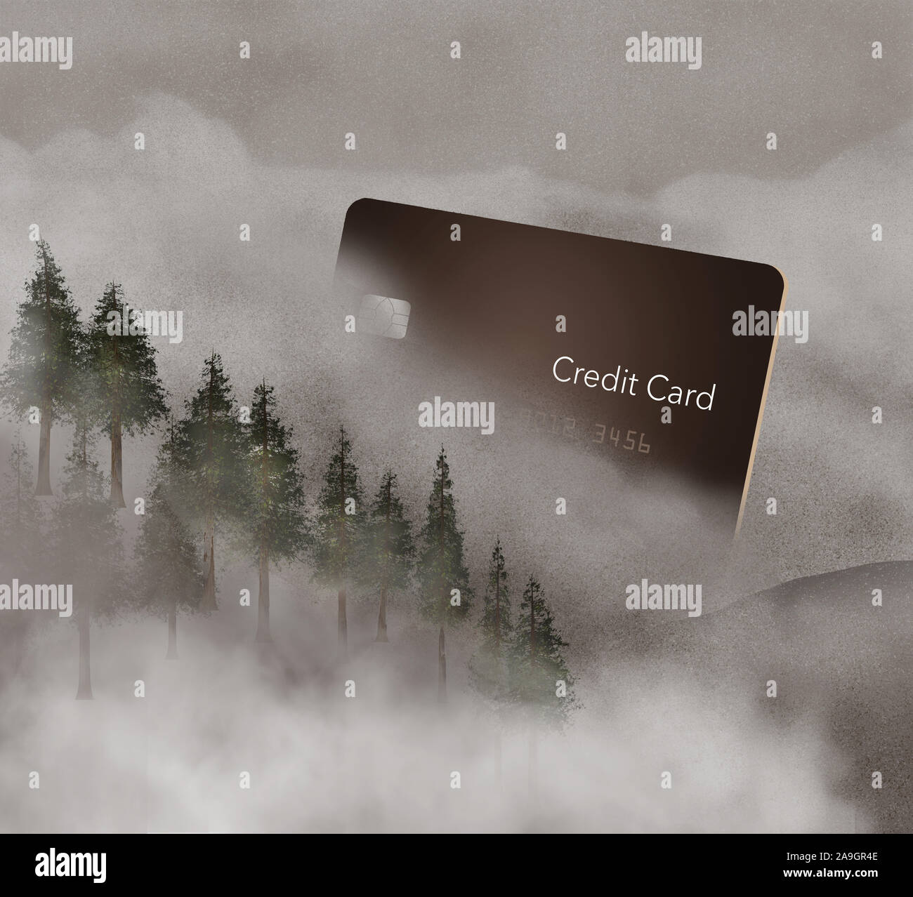 a Credit Card and Trees are seen wrapped in fog on a Sierra Nevada ...