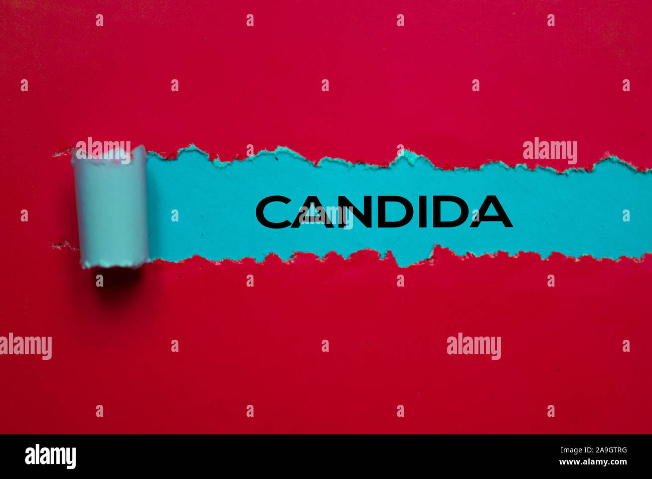 Candida Text written in torn paper. Medical concept Stock Photo - Alamy