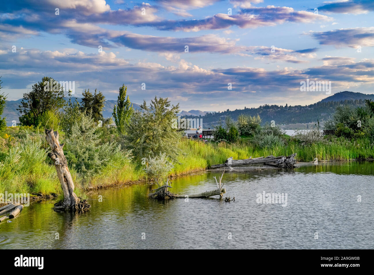 Rotary marsh park hi-res stock photography and images - Alamy