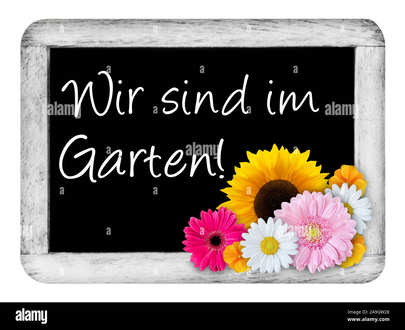 Summer time in garden Cut Out Stock Images & Pictures - Alamy