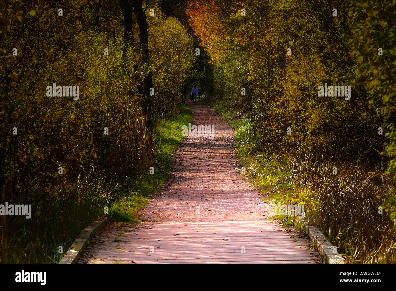 Autumn nature trail hi-res stock photography and images - Alamy