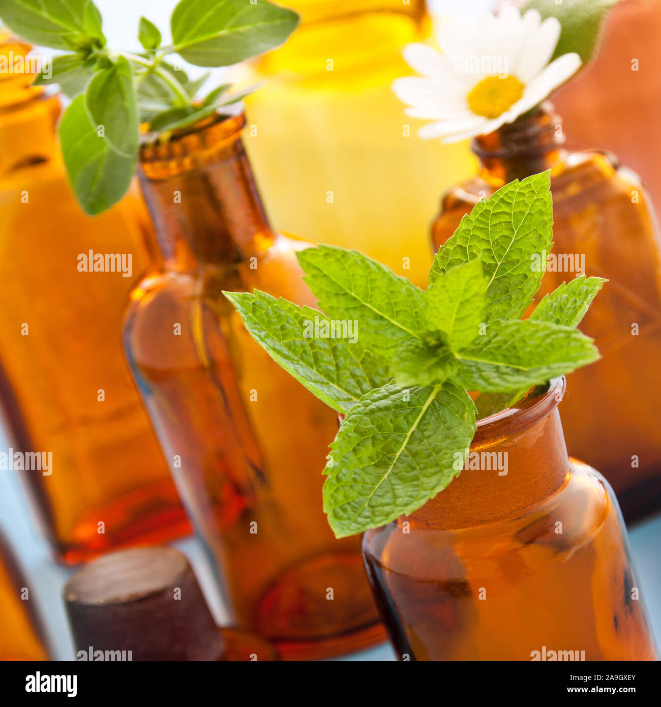 Natural healing herbs and oil Stock Photo - Alamy