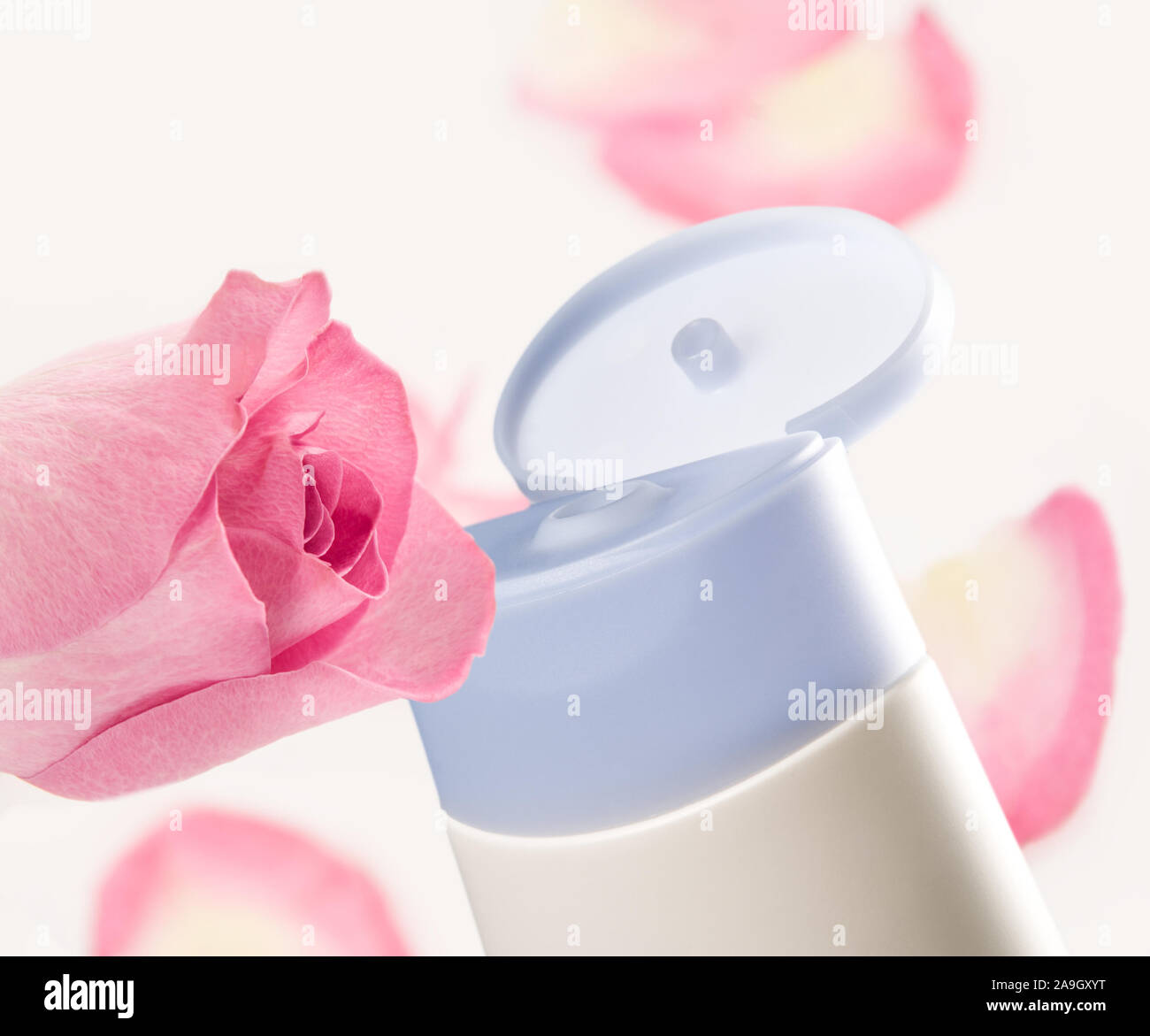 Cosmetics cream and pink rose Stock Photo - Alamy