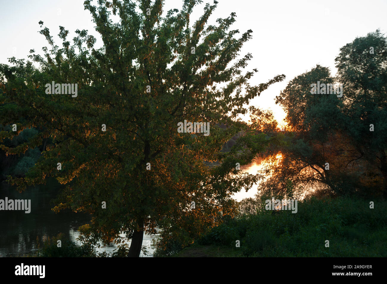 Riparian forest of river march hi-res stock photography and images - Alamy