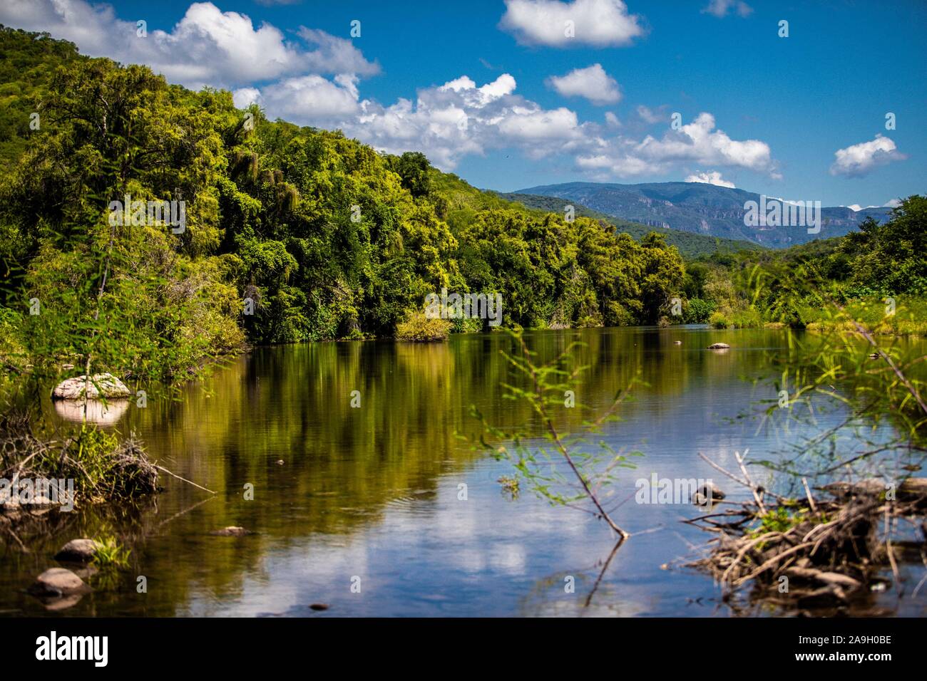 Cuchujaqui River in the Monte Mojino Reserve with an ecosystem of low ...