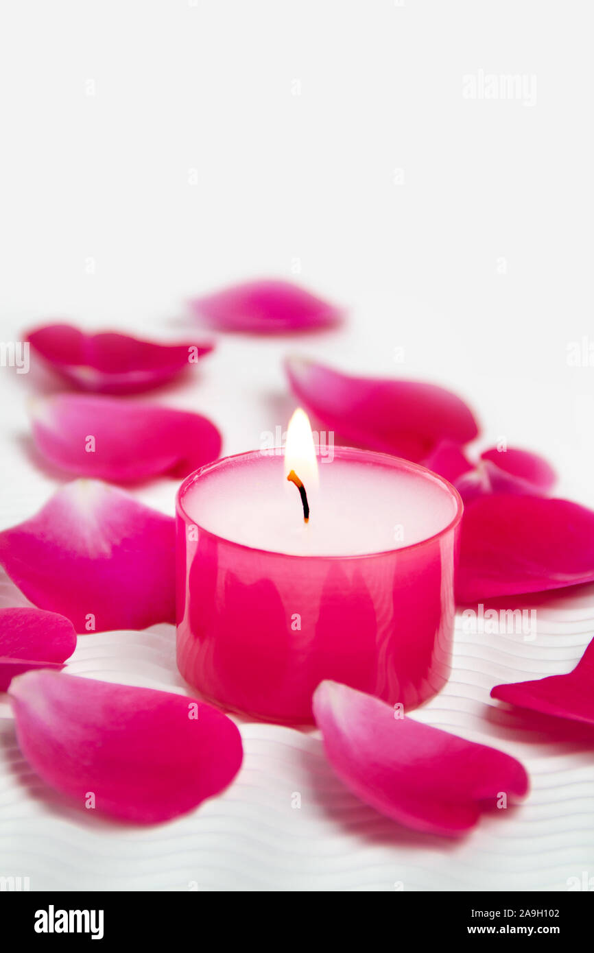 Wellness roses and candle on white background Stock Photo - Alamy