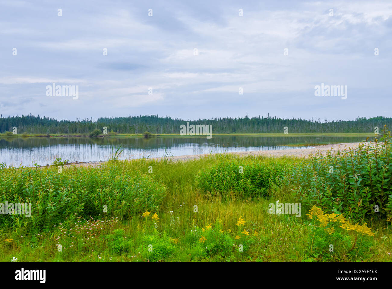 Mistissini hi-res stock photography and images - Alamy