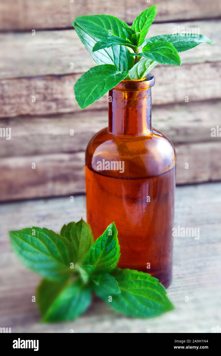 Peppermint oil herbal medicine Stock Photo - Alamy