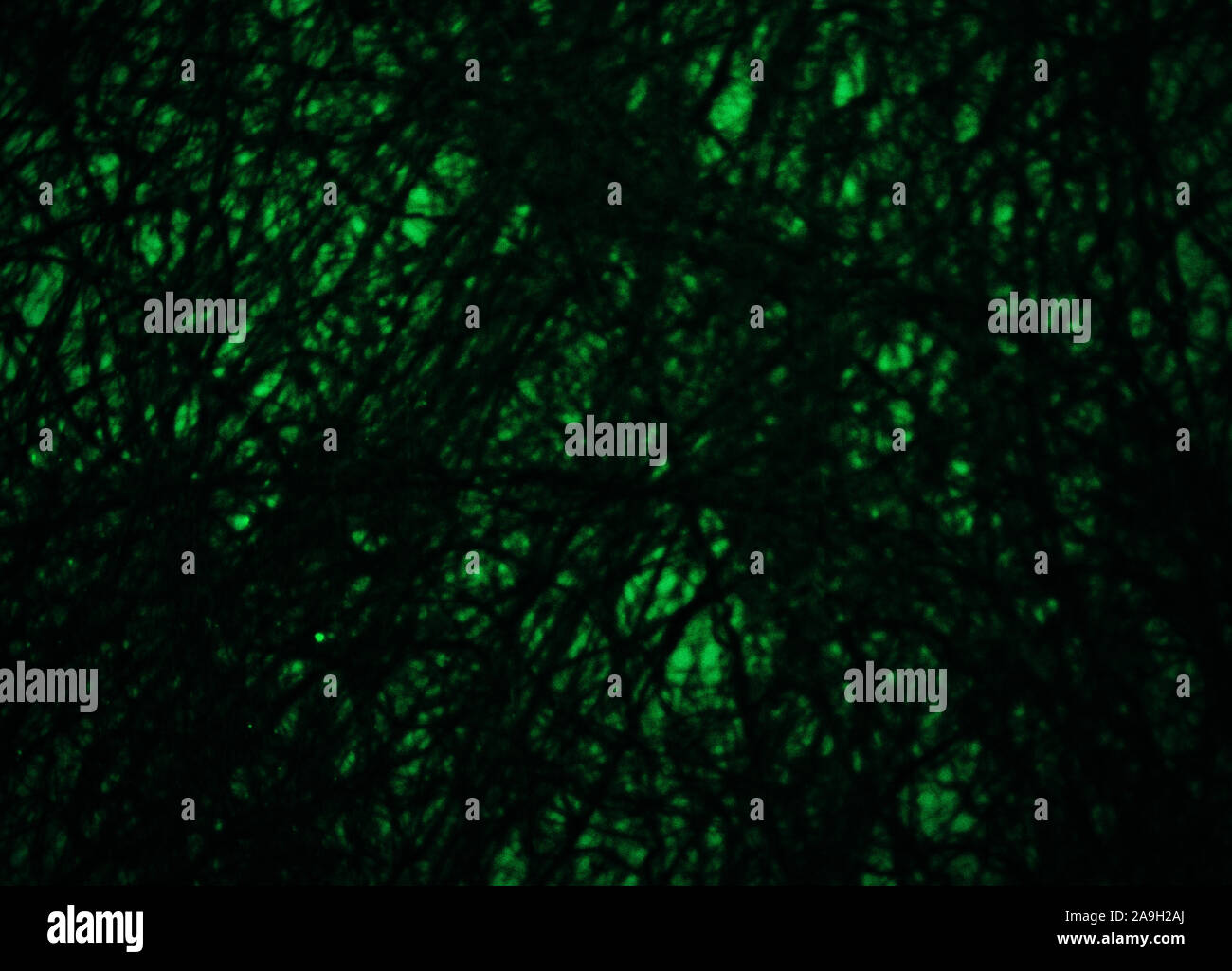 dark green background texture backdrop for design Stock Photo - Alamy