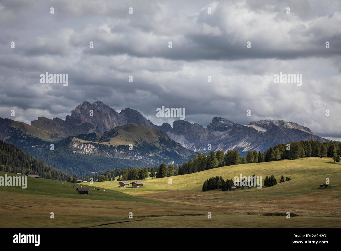 View of the Dolomites from the Alpi di Siusi plateau Stock Photo - Alamy