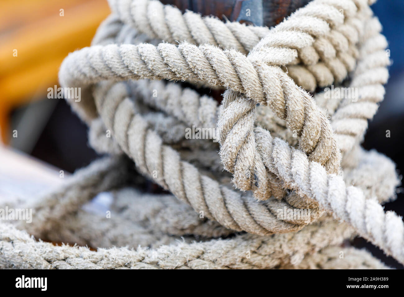 Tied to a pole hi-res stock photography and images - Alamy