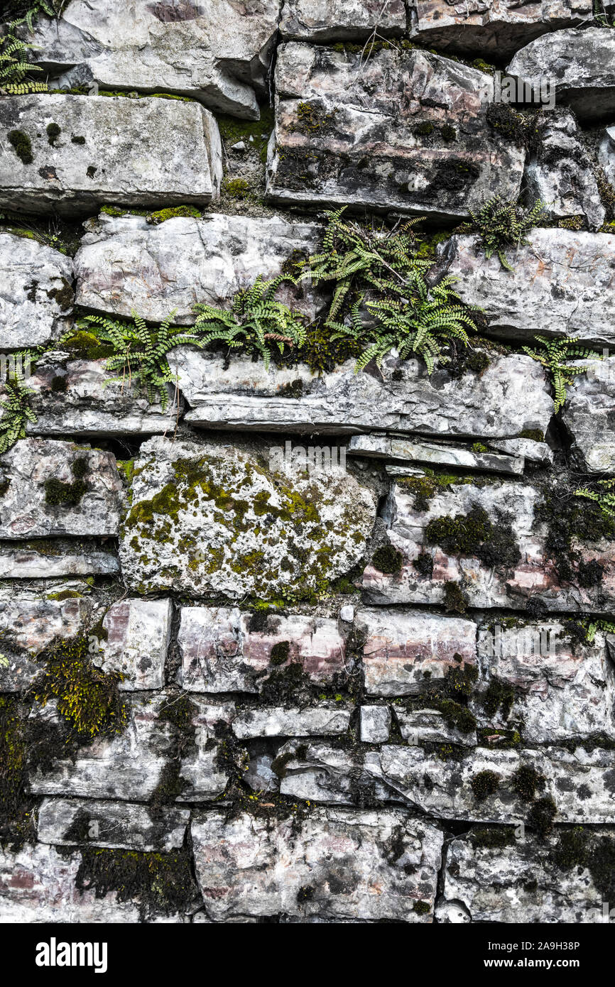 Mossy stone wall hi-res stock photography and images - Alamy