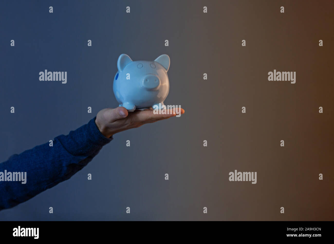 Hand holding a piggy money bank. Financial concept, raising income ...