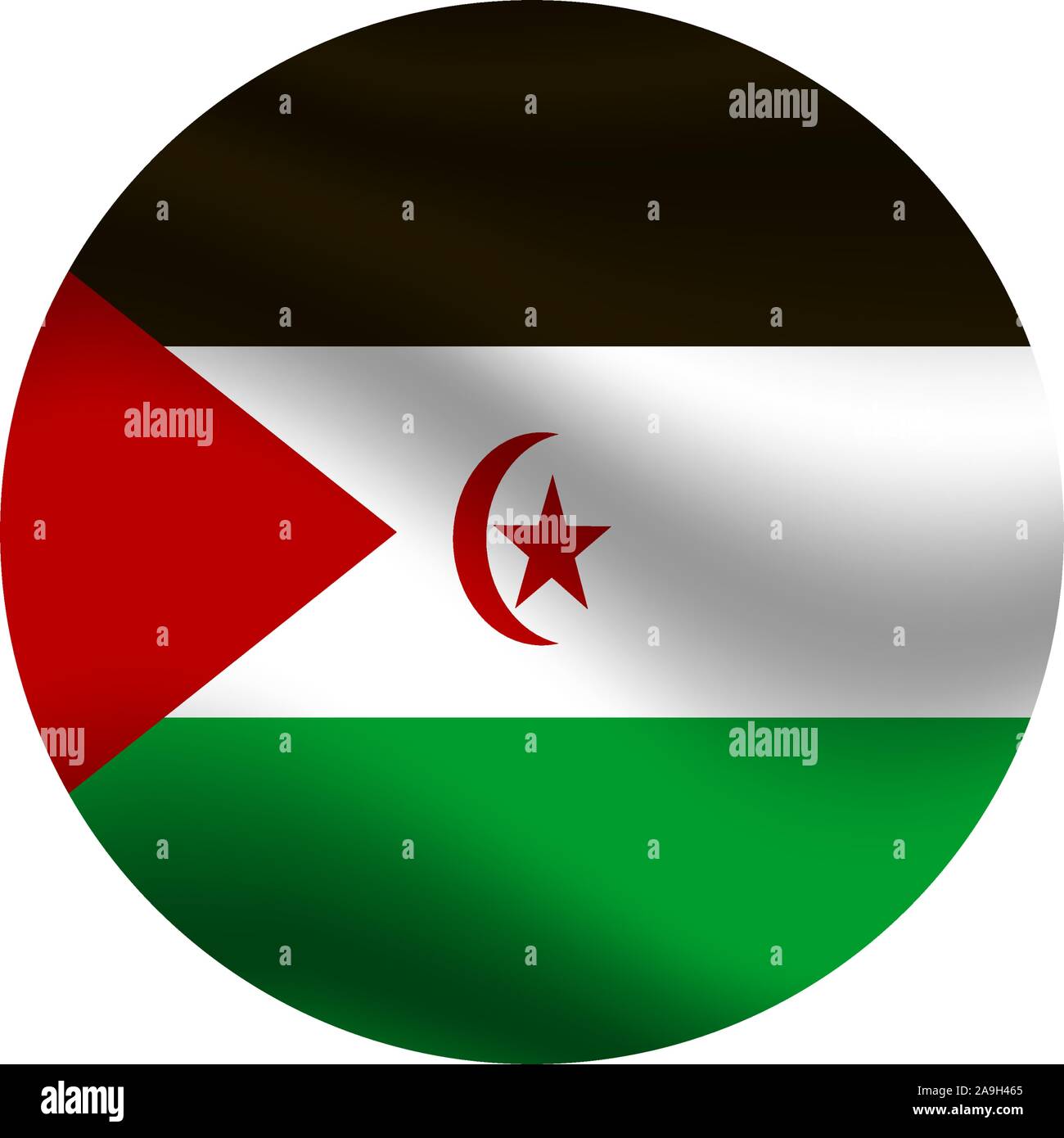 Beautiful national flag of Sahrawi Arab Democratic Republic. Simply ...