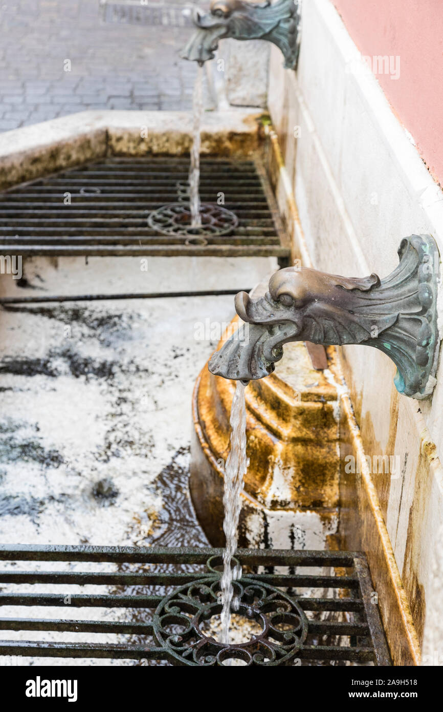 Two dolphin's head water spouts pour water onto an outside grate in a ...
