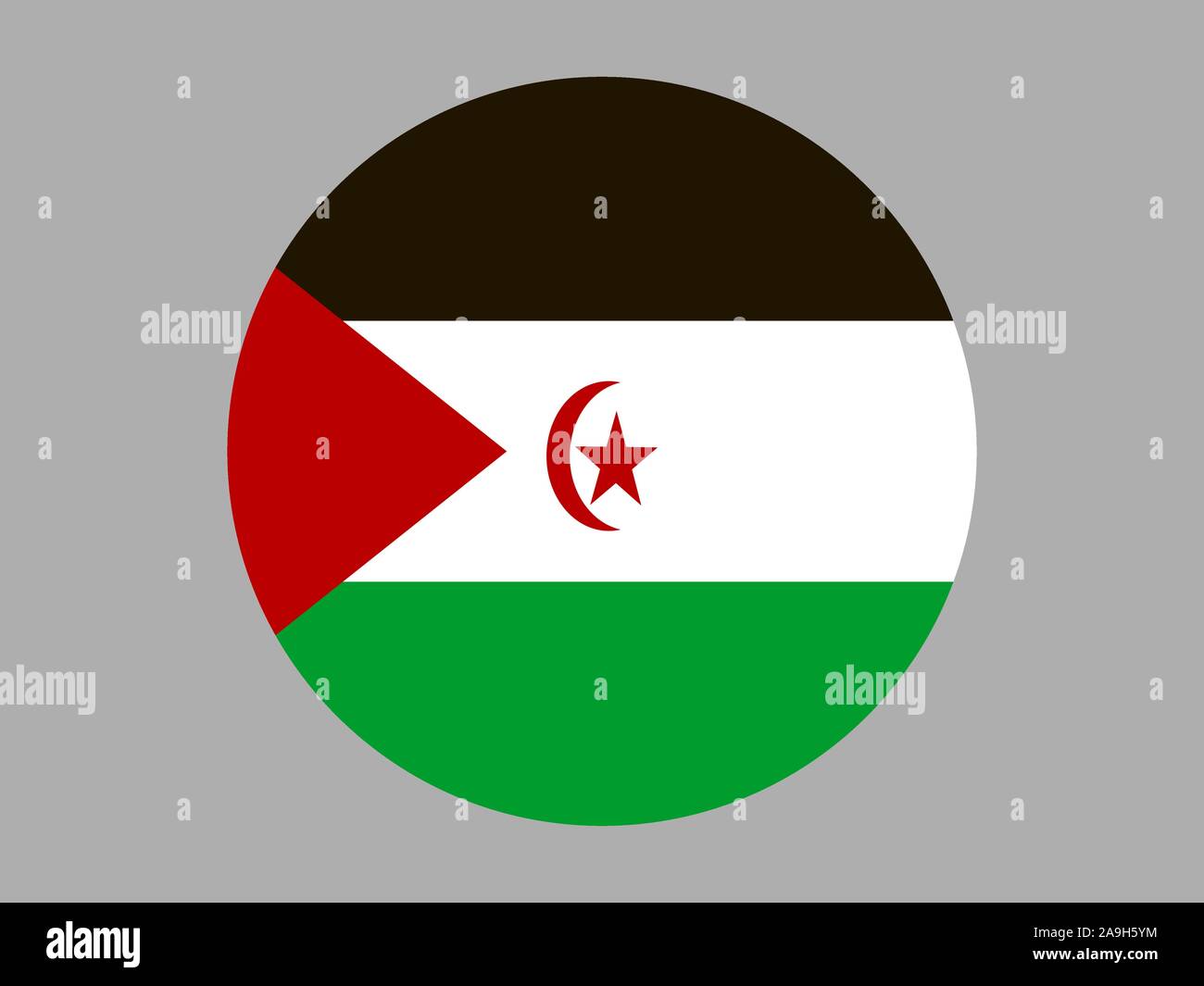 Beautiful national flag of Sahrawi Arab Democratic Republic. Simply ...