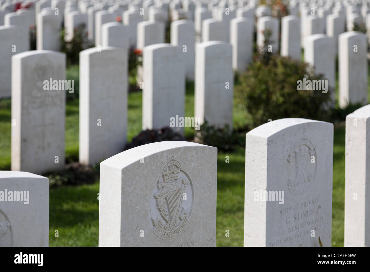 Wwi grave headstones hi-res stock photography and images - Alamy