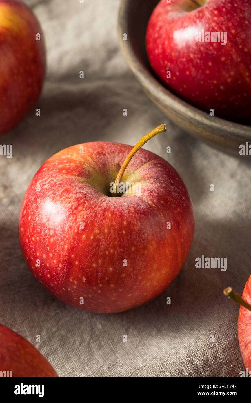 Raw Red Organic Gala Apples in a Bunch Stock Photo - Alamy