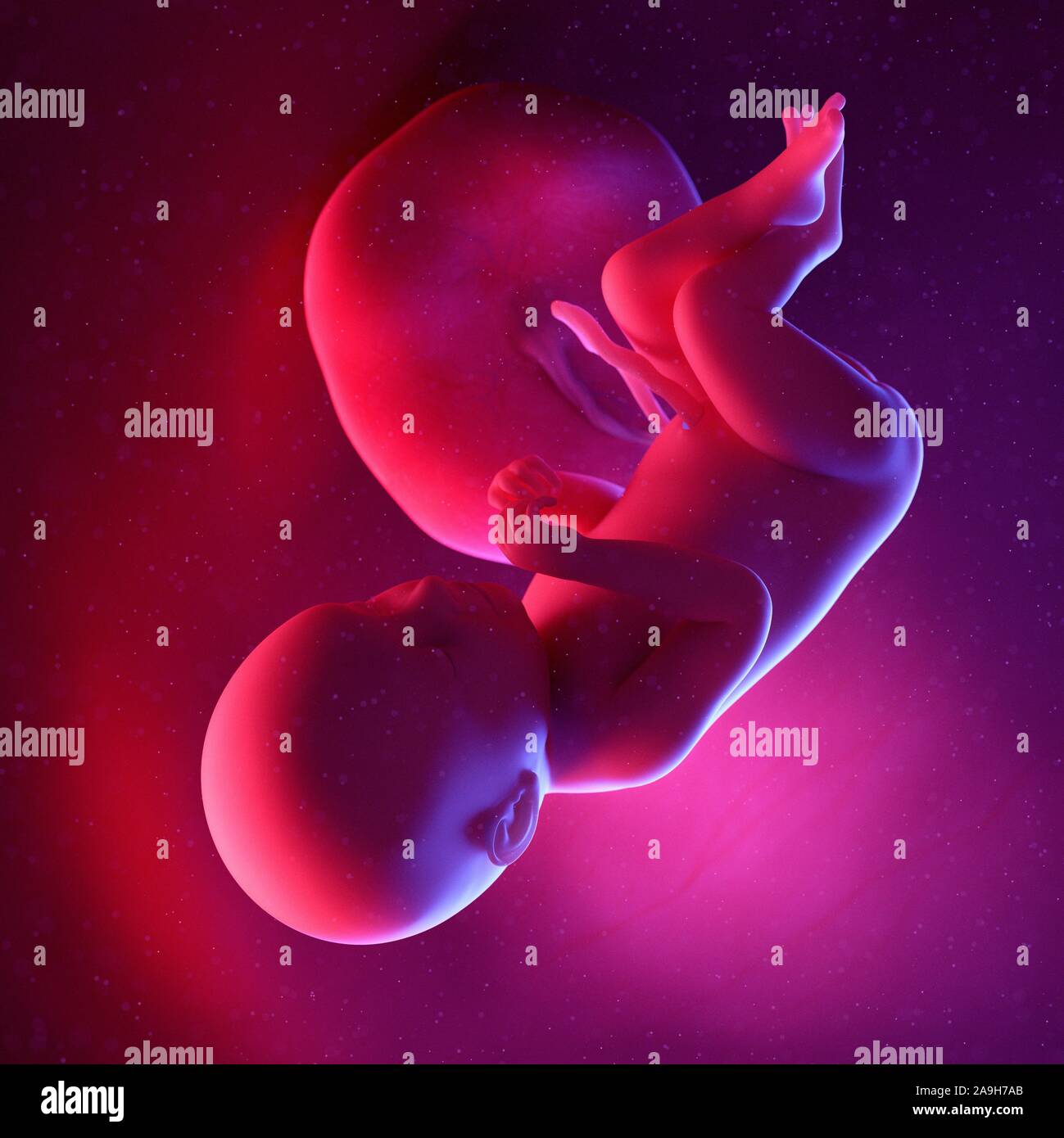 Pregnancy week 39 hi-res stock photography and images - Alamy