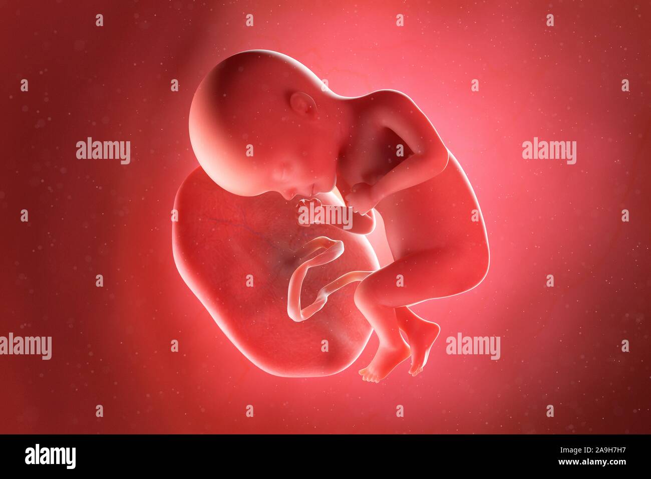 Pregnancy week 27 hi-res stock photography and images - Alamy