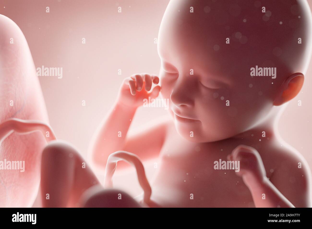 Pregnancy week 35 hi-res stock photography and images - Alamy