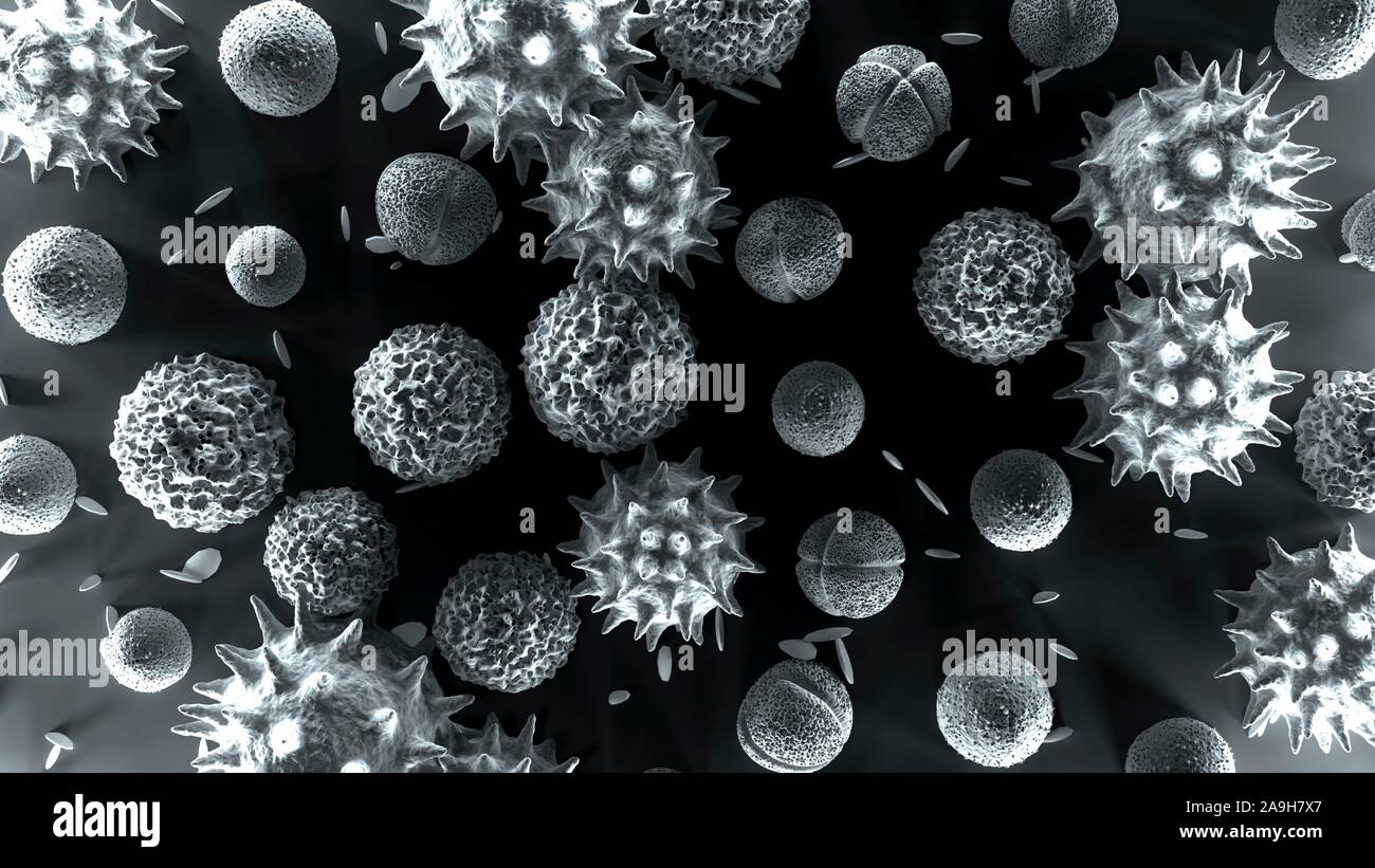 Fungal spores hi-res stock photography and images - Alamy