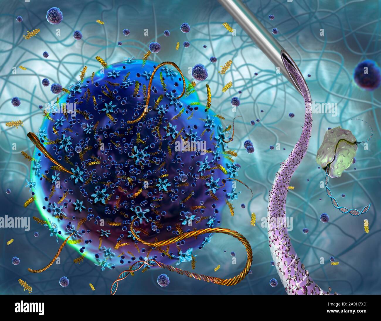Genetic engineering, illustration Stock Photo - Alamy