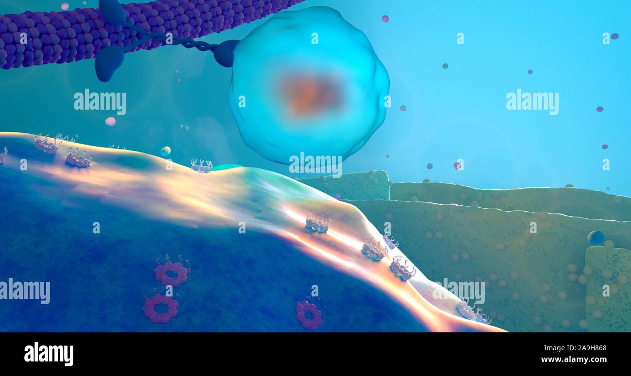 Cellular cargo hi-res stock photography and images - Alamy