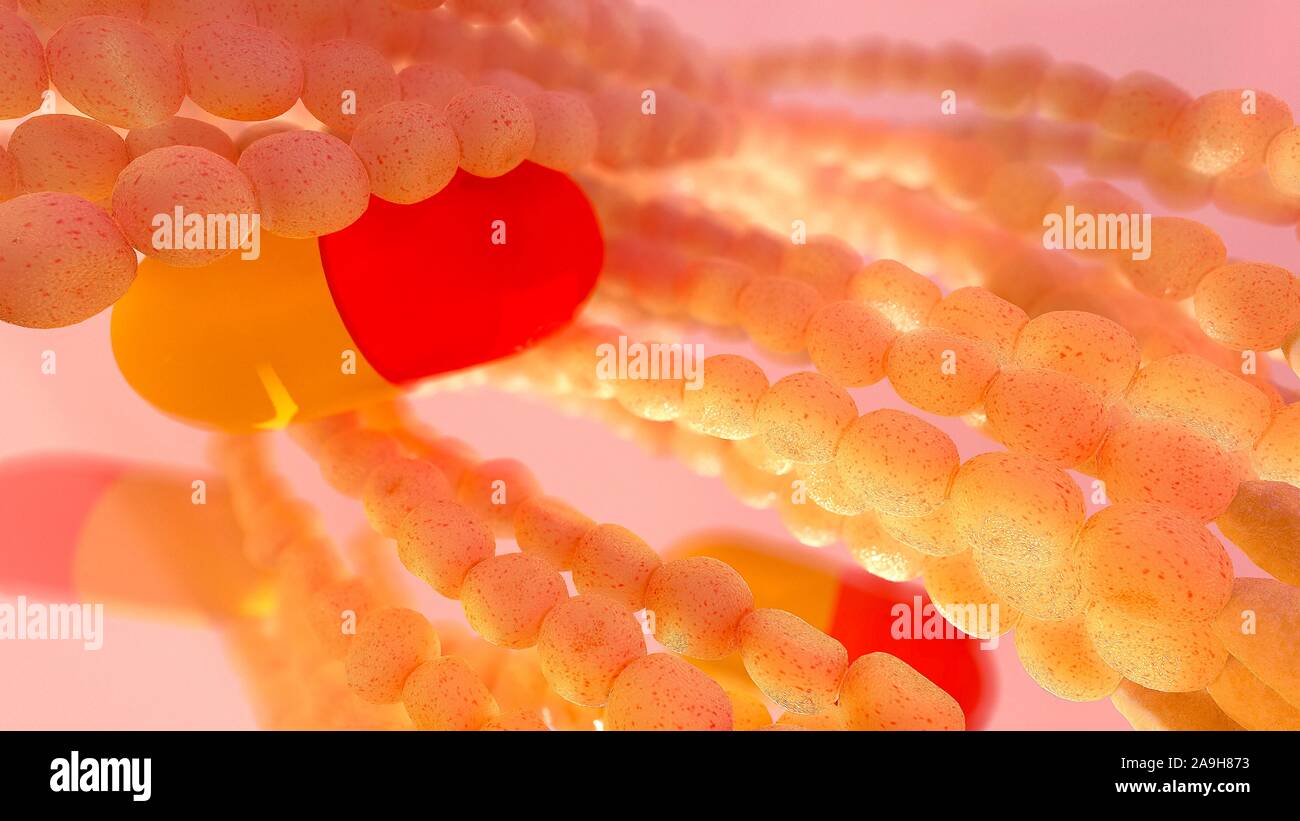 Penicillium notatum mold hi-res stock photography and images - Alamy