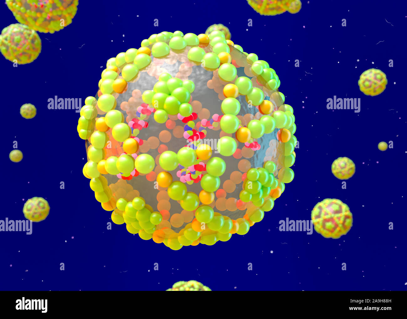 Enterovirus structure, illustration Stock Photo - Alamy