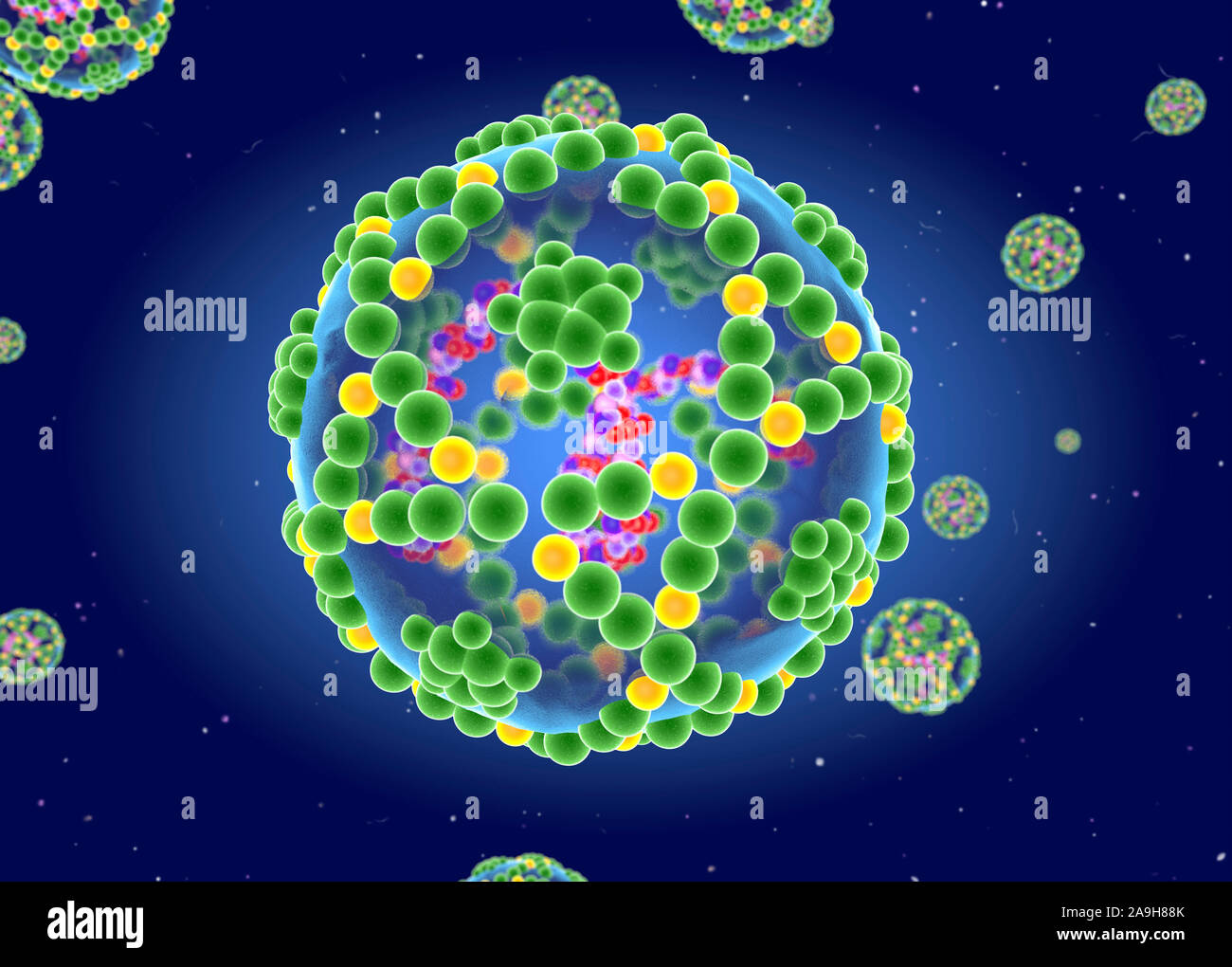 Enterovirus structure, illustration Stock Photo - Alamy