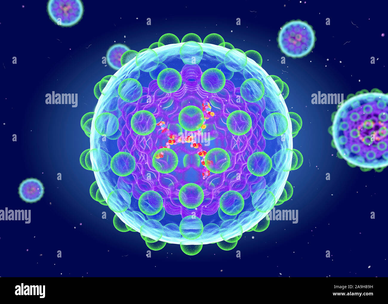 Hepatitis C virus structure, illustration Stock Photo - Alamy