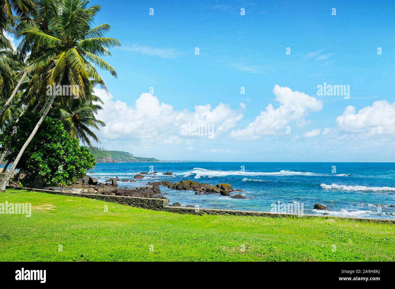 ocean, coconut palms and blue sky Stock Photo - Alamy