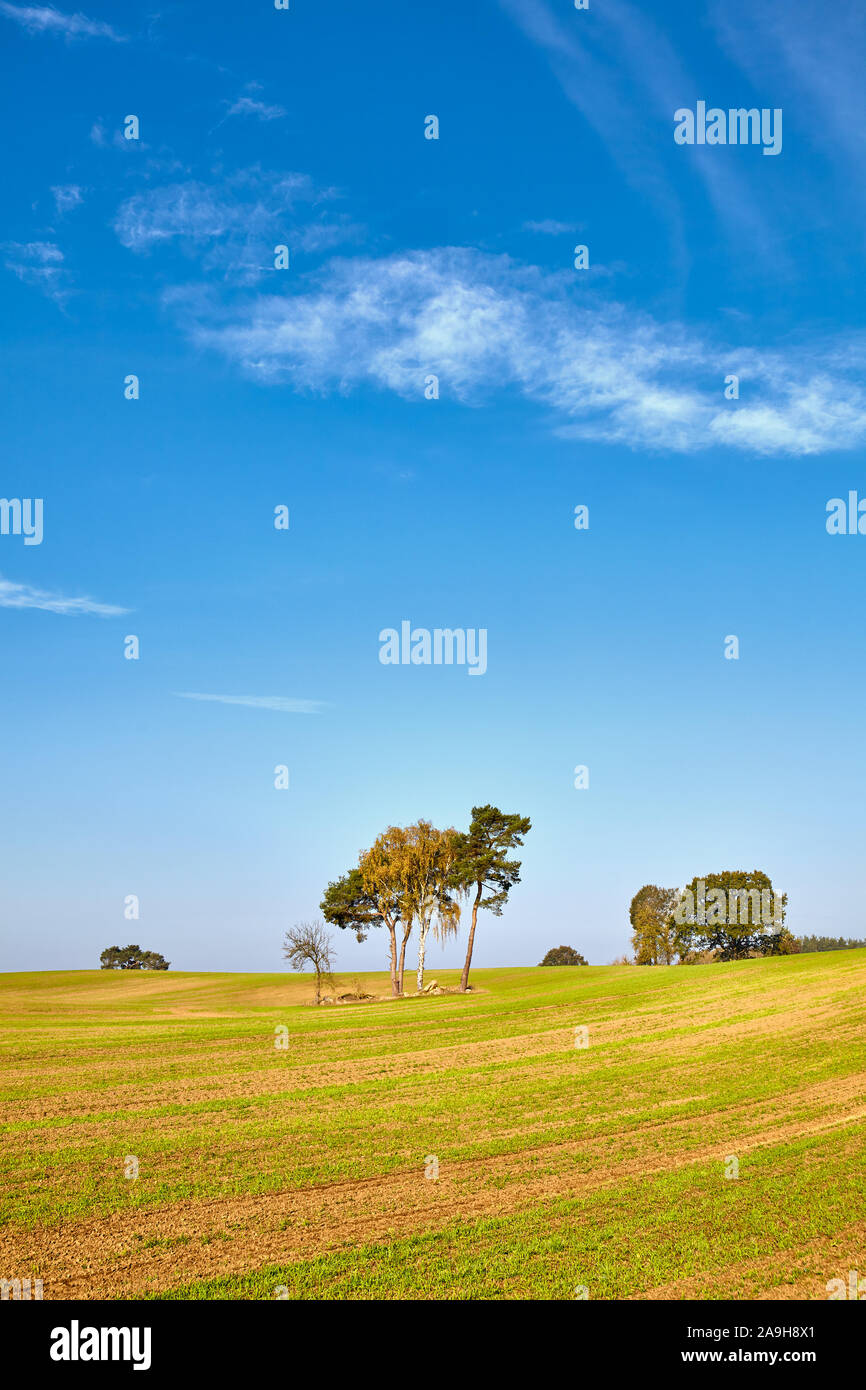 Beautiful landscape field trees blue hi-res stock photography and ...