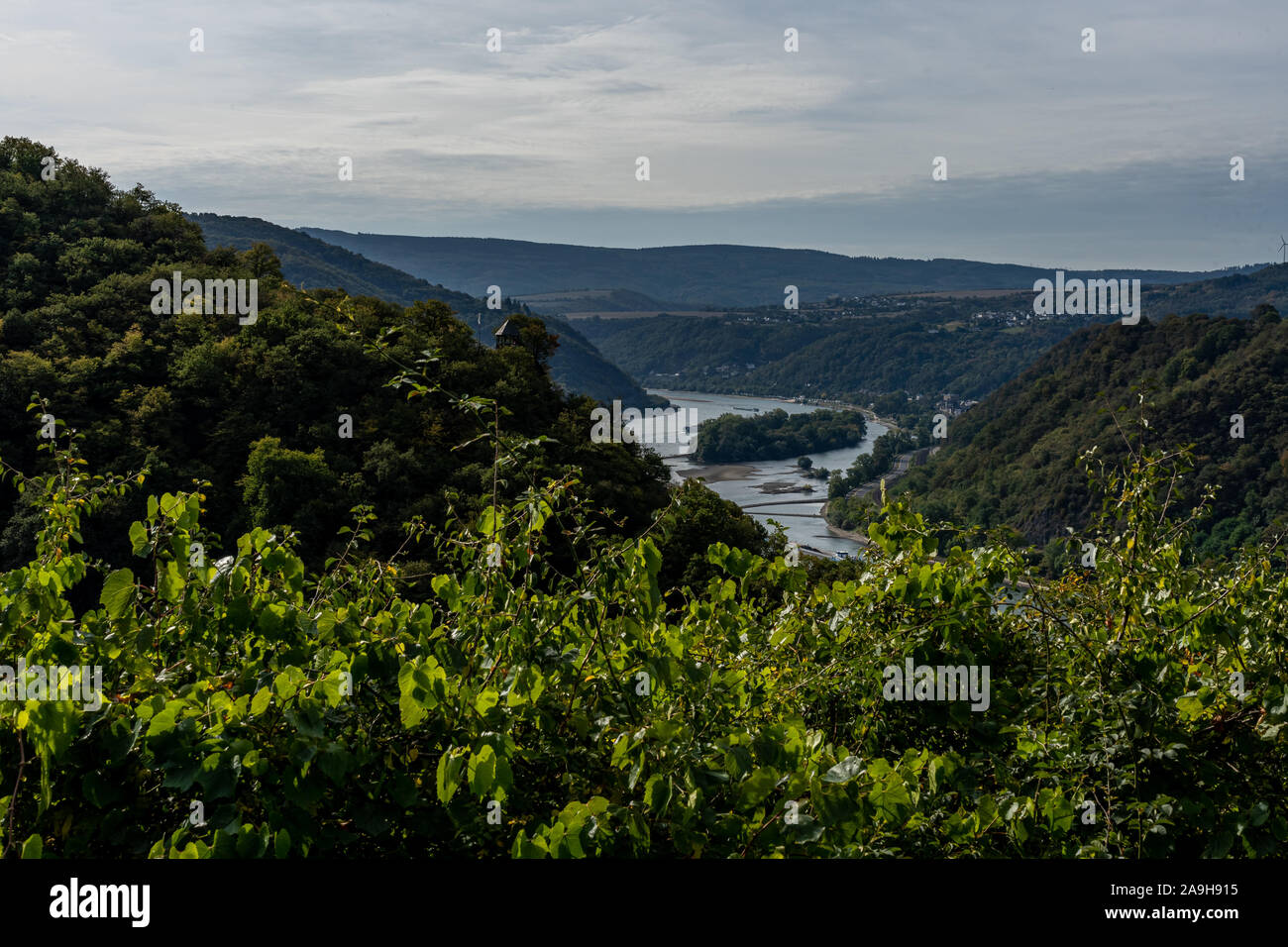 hiking on rheinsteig trail in the middle rhine valley, germany Stock ...