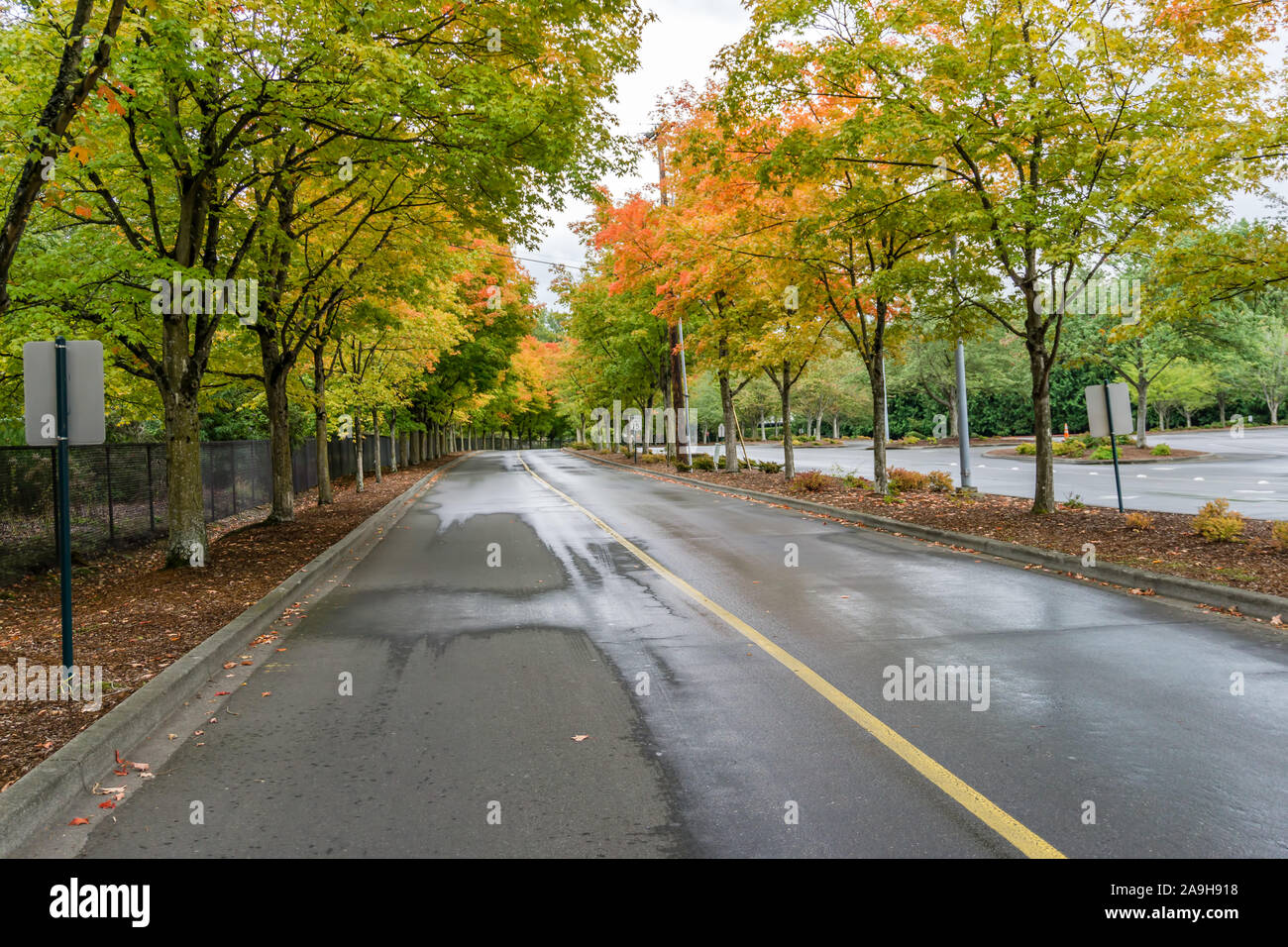 Trees are bursting with autumn colors at Gene Coulon Park in Renton, Washington Stock Photo - Alamy
