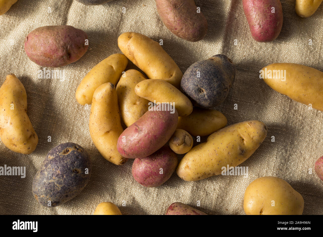 Raw Organic Fingerling Potatoes Ready to Eat Stock Photo - Alamy