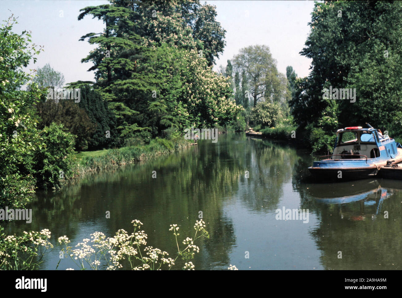 The River Stort Nr Mead Lock on the Herts/Essex Border Stock Photo - Alamy
