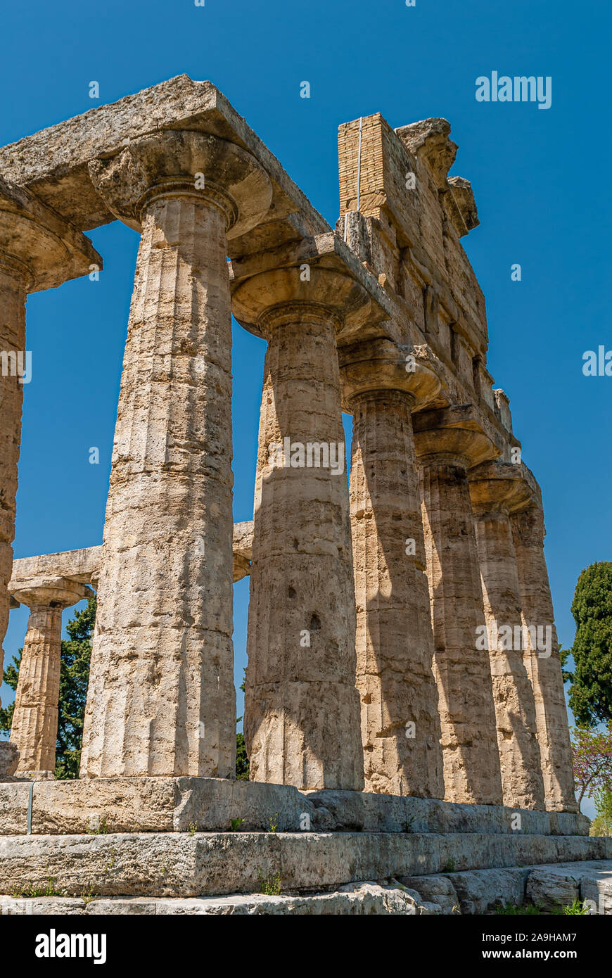 Columns of the Temple of Athena, Greek Goddess of wisdom, arts and war ...