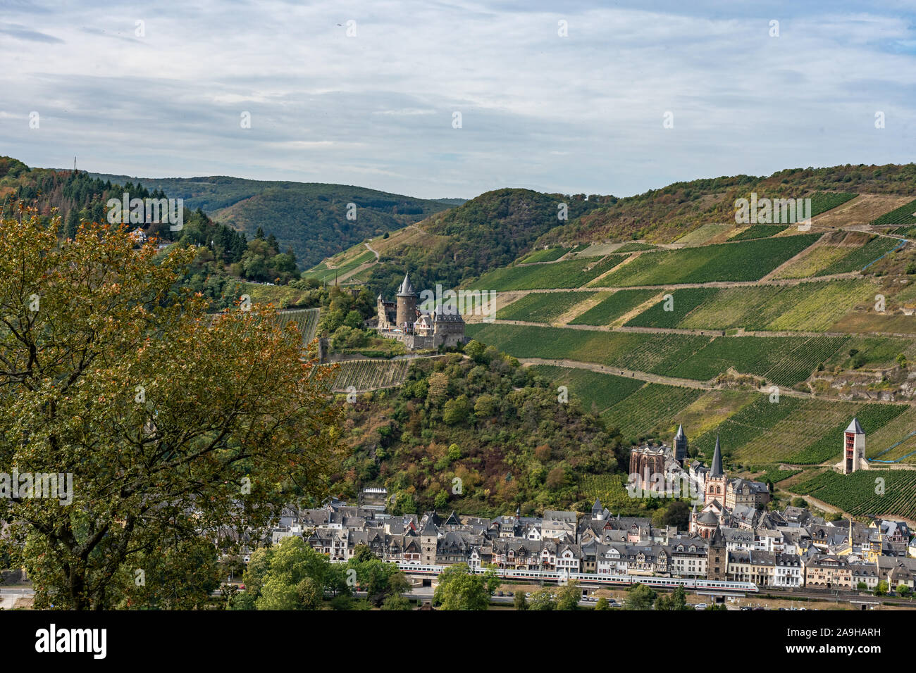 Medieval castle ruin with view to the rhine valley hi-res stock ...